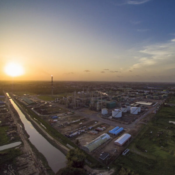 Services – Prologic Group